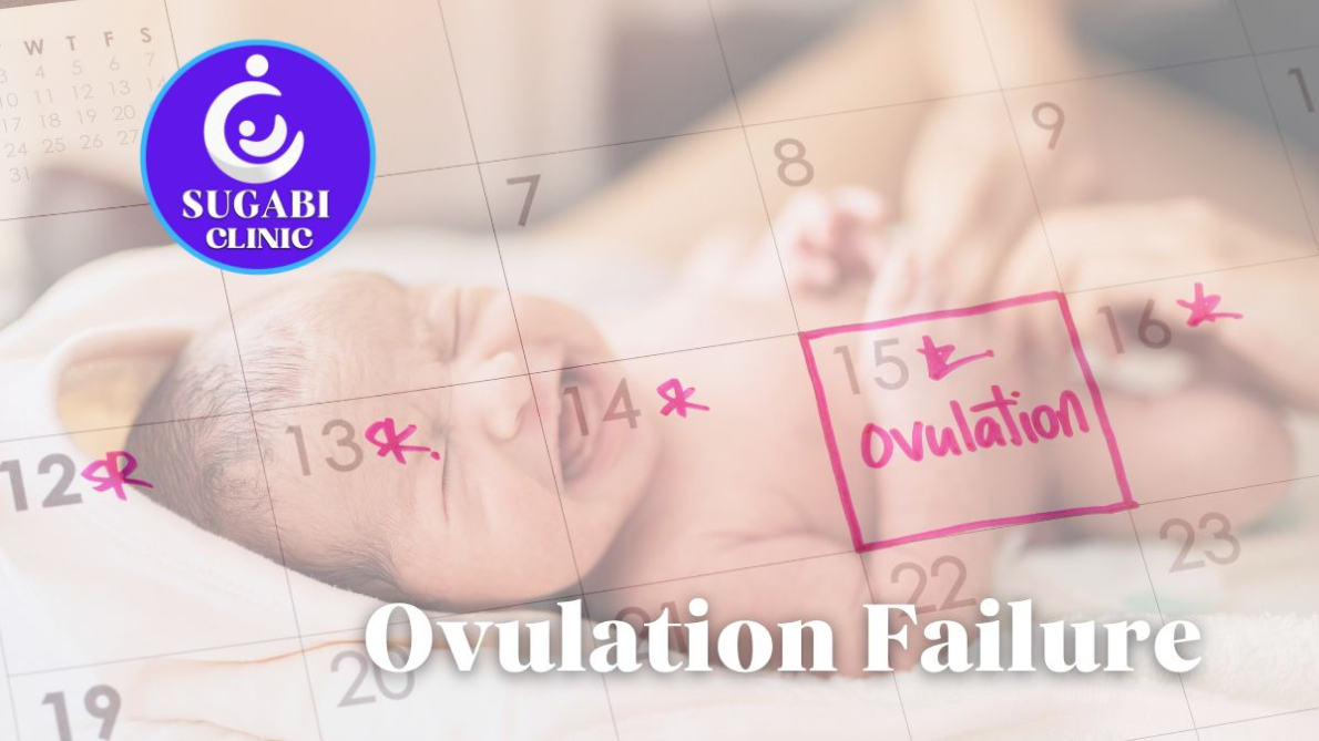 From Anovulation to Conception: Your Fertility Journey Simplified